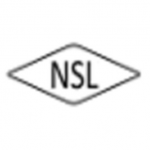 Naina-Semiconductor-logo-2256 | My Job Ka मेरे रोज़गार का